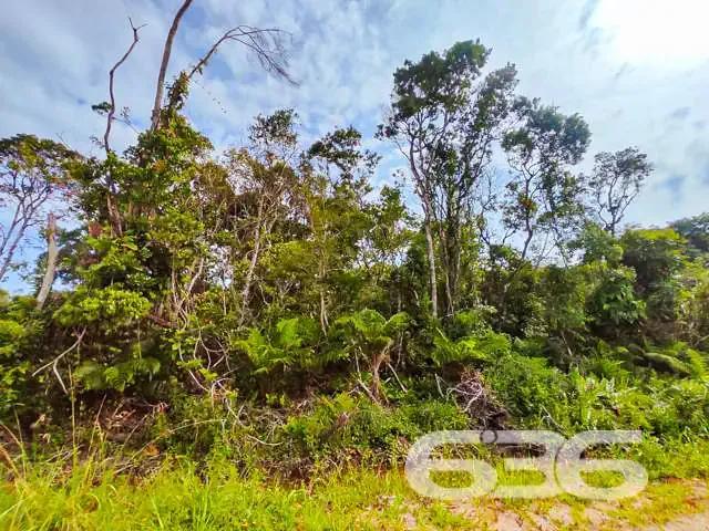 Terreno / Lote para Venda em São Francisco do Sul/SC Praia do Ervino