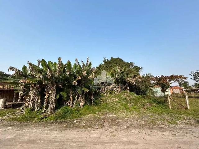 Terreno / Lote para Venda em São Francisco do Sul/SC Praia do Ervino