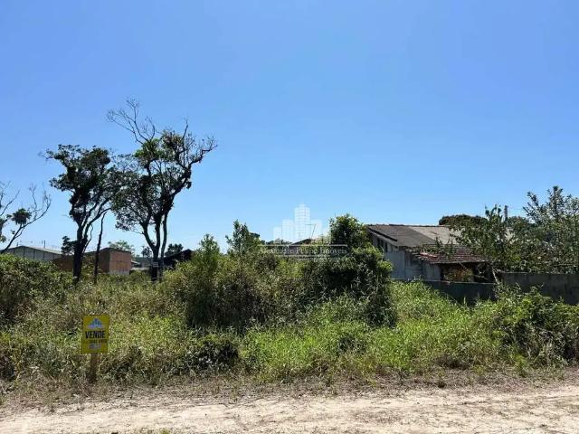 Terreno / Lote para Venda em São Francisco do Sul/SC Praia do Ervino