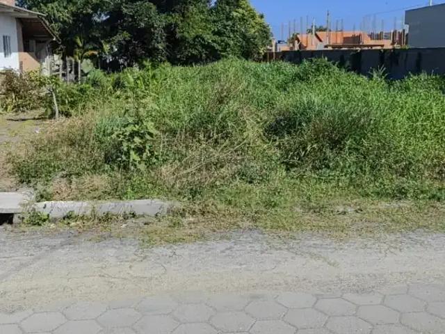 Terreno / Lote para Venda em São Francisco do Sul/SC Praia do Ervino