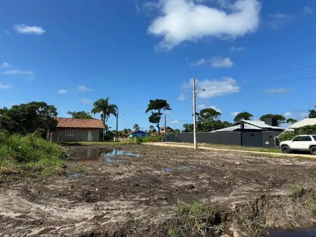 Terreno / Lote para Venda em São Francisco do Sul/SC Praia do Ervino