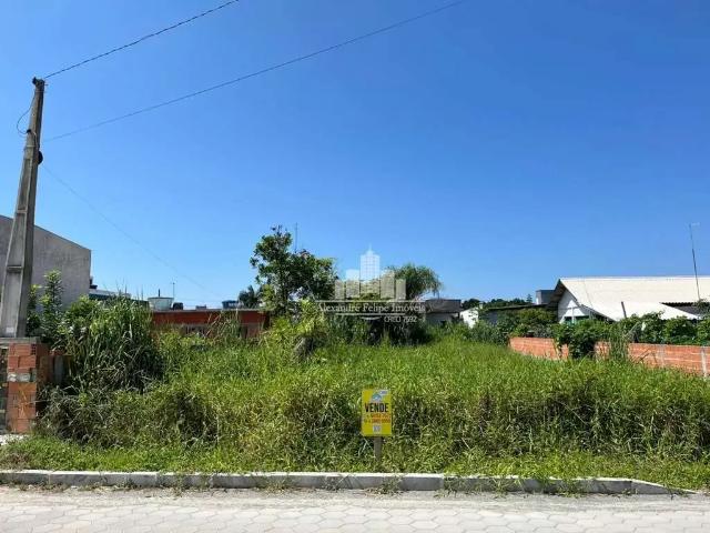Terreno / Lote para Venda em São Francisco do Sul/SC Praia do Ervino