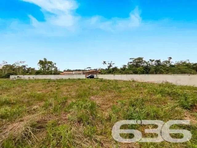 Terreno / Lote para Venda em São Francisco do Sul/SC Praia do Ervino