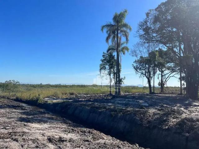 Terreno / Lote para Venda em São Francisco do Sul/SC Praia do Ervino