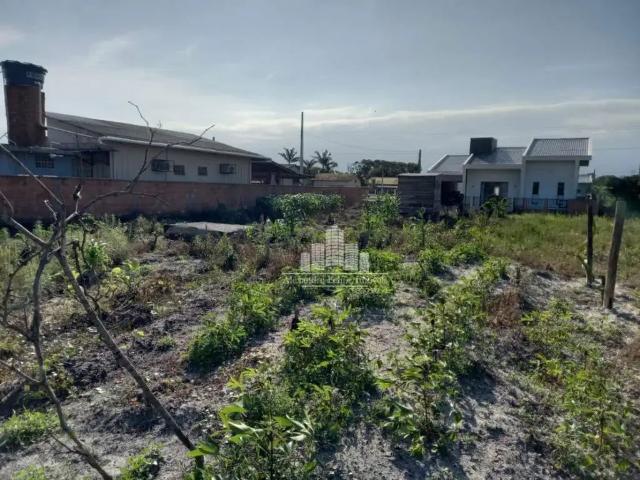 Terreno / Lote para Venda em São Francisco do Sul/SC Praia do Ervino