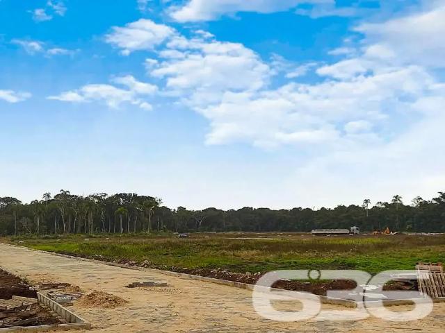 Terreno / Lote para Venda em São Francisco do Sul/SC Praia do Ervino