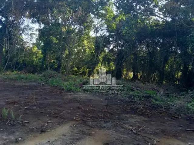 Terreno / Lote para Venda em São Francisco do Sul/SC Praia do Ervino