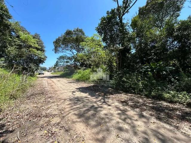 Terreno / Lote para Venda em São Francisco do Sul/SC Praia do Ervino