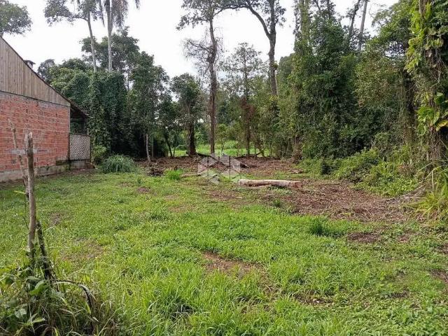 Terreno / Lote para Venda em São Francisco do Sul/SC Praia do Ervino