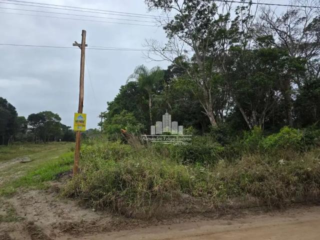 Terreno / Lote para Venda em São Francisco do Sul/SC Praia do Ervino