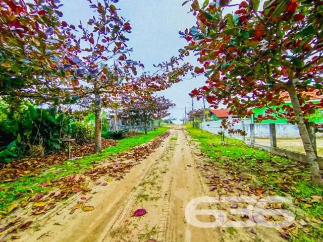 Terreno / Lote para Venda em São Francisco do Sul/SC Praia do Ervino