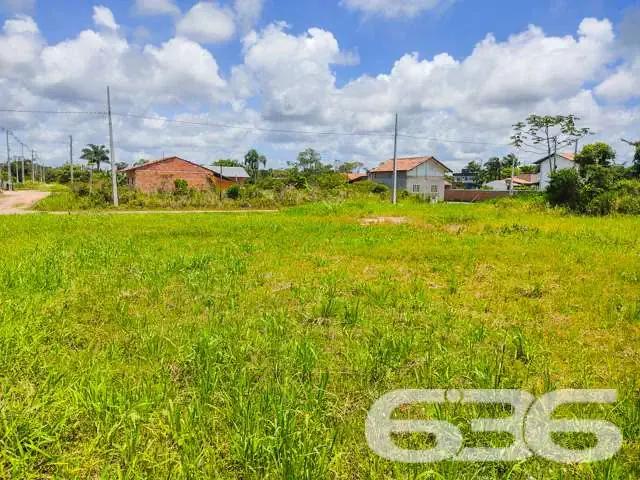 Terreno / Lote para Venda em São Francisco do Sul/SC Praia do Ervino