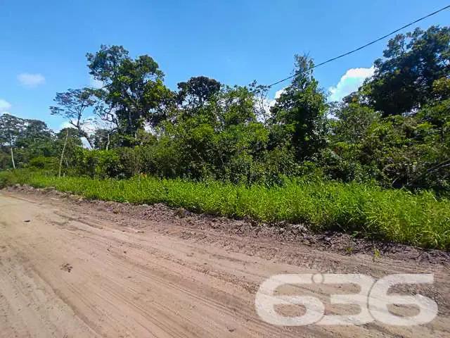 Terreno / Lote para Venda em São Francisco do Sul/SC Praia do Ervino