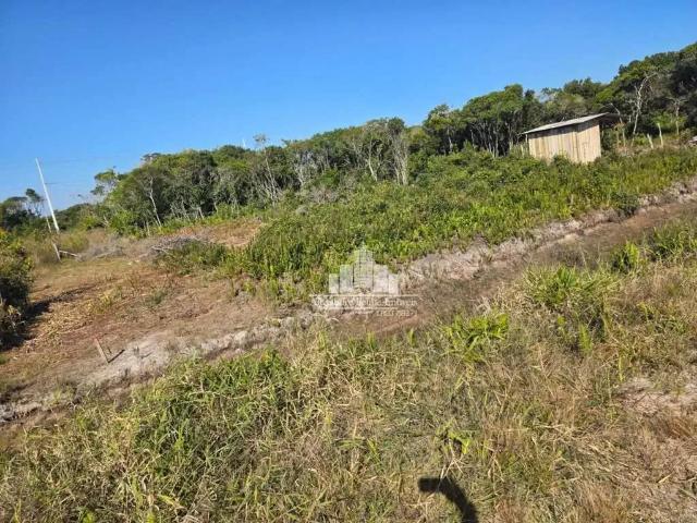 Terreno / Lote para Venda em São Francisco do Sul/SC Praia do Ervino