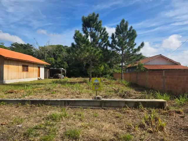 Terreno / Lote para Venda em São Francisco do Sul/SC Praia do Ervino