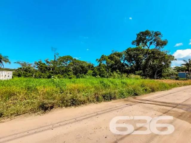 Terreno / Lote para Venda em São Francisco do Sul/SC Praia do Ervino