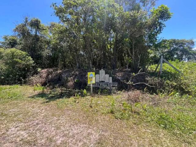 Terreno / Lote para Venda em São Francisco do Sul/SC Praia do Ervino