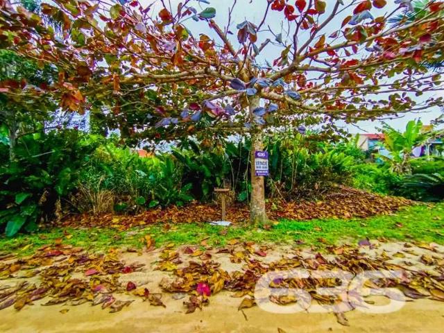 Terreno / Lote para Venda em São Francisco do Sul/SC Praia do Ervino