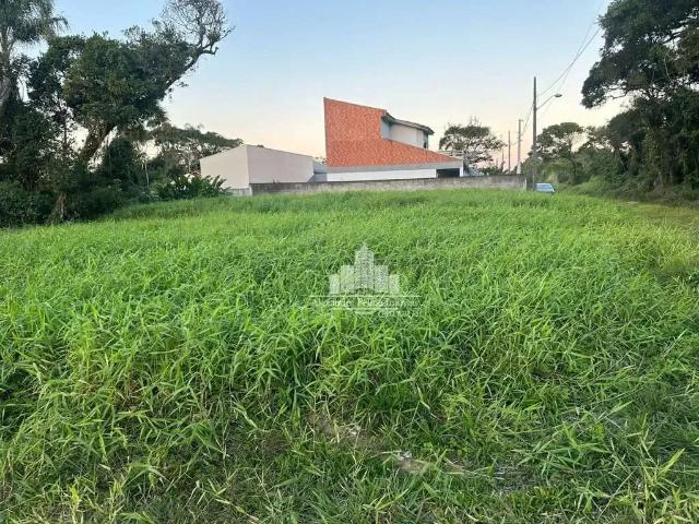 Terreno / Lote para Venda em São Francisco do Sul/SC Praia do Ervino