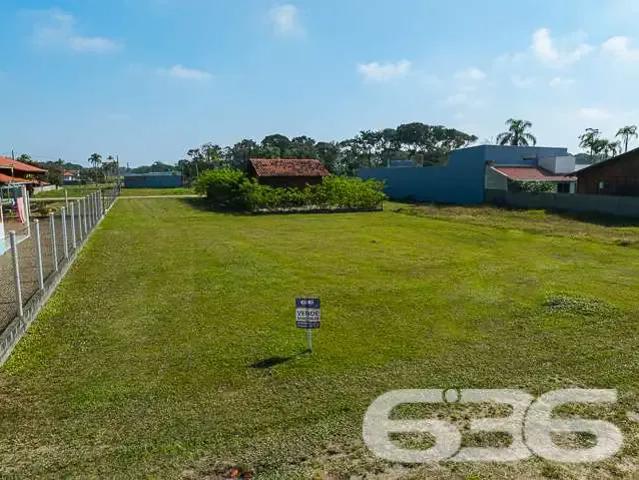 Terreno / Lote para Venda em São Francisco do Sul/SC Praia do Ervino