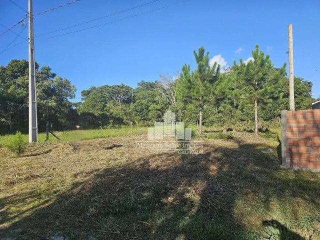 Terreno / Lote para Venda em São Francisco do Sul/SC Praia do Ervino