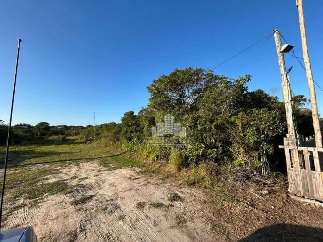 Terreno / Lote para Venda em São Francisco do Sul/SC Praia do Ervino