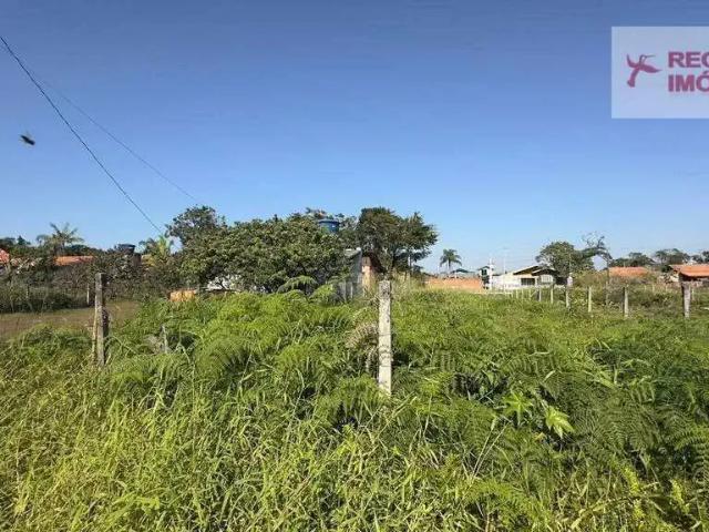 Terreno / Lote para Venda em São Francisco do Sul/SC Praia do Ervino