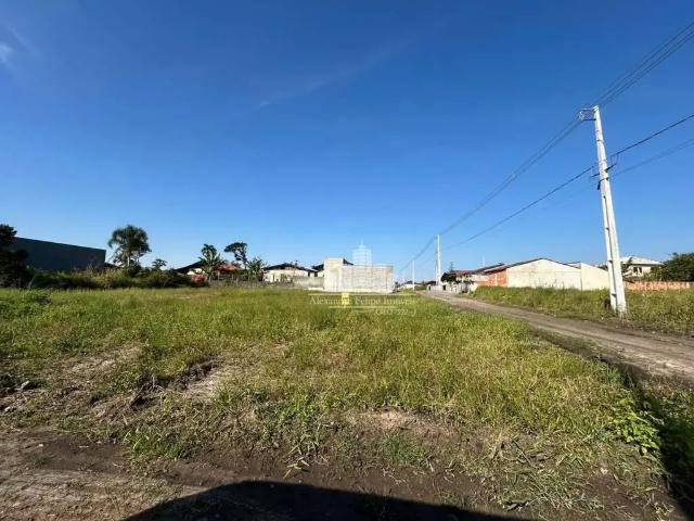 Terreno / Lote para Venda em São Francisco do Sul/SC Praia do Ervino