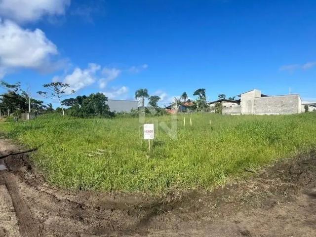 Terreno / Lote para Venda em São Francisco do Sul/SC Praia do Ervino