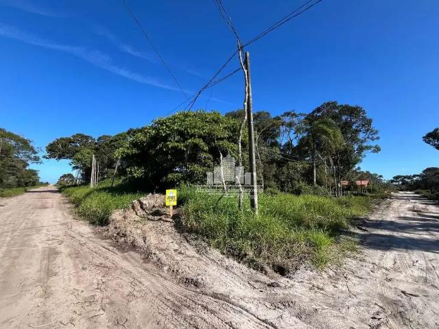 Terreno / Lote para Venda em São Francisco do Sul/SC Praia do Ervino