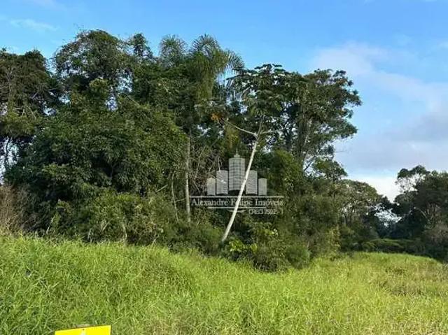 Terreno / Lote para Venda em São Francisco do Sul/SC Praia do Ervino