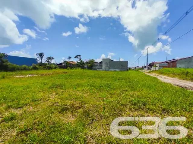 Terreno / Lote para Venda em São Francisco do Sul/SC Praia do Ervino