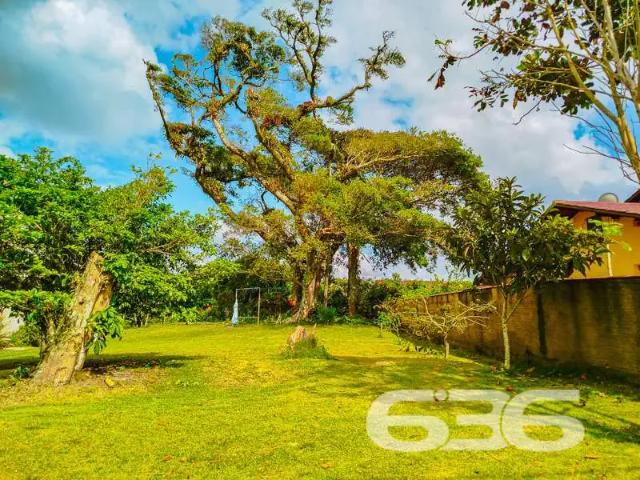 Terreno / Lote para Venda em São Francisco do Sul/SC Praia do Ervino