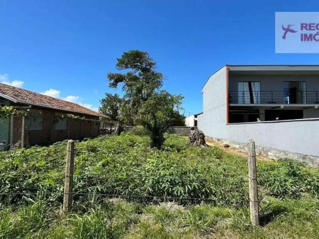 Terreno / Lote para Venda em São Francisco do Sul/SC Praia do Ervino