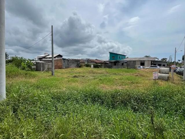 Terreno / Lote para Venda em São Francisco do Sul/SC Praia do Ervino