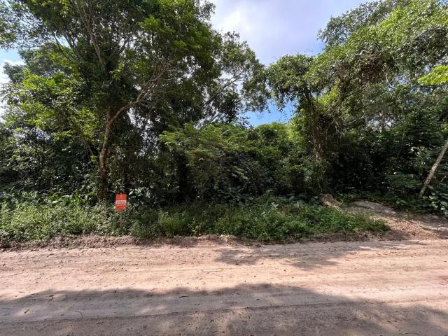 Terreno / Lote para Venda em São Francisco do Sul/SC Praia do Ervino