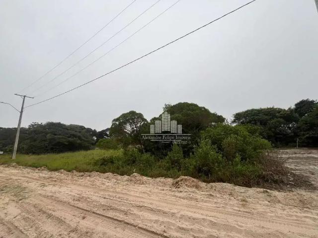 Terreno / Lote para Venda em São Francisco do Sul/SC Praia do Ervino