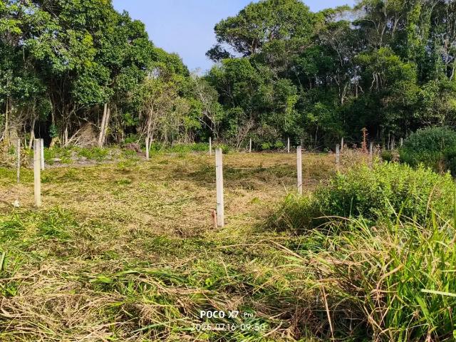 Terreno / Lote para Venda em São Francisco do Sul/SC Praia do Ervino