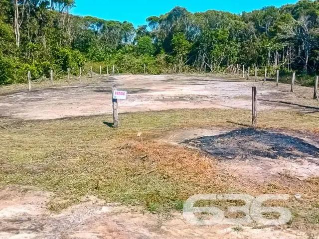 Terreno / Lote para Venda em São Francisco do Sul/SC Praia Grande