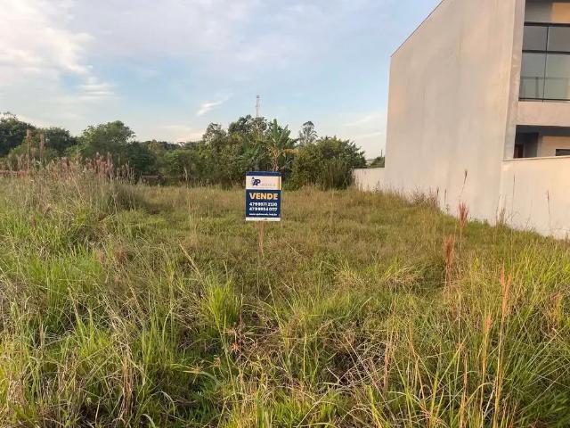 Terreno / Lote para Venda em São Francisco do Sul/SC Reta