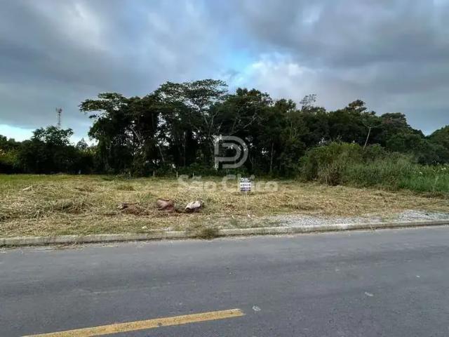 Terreno / Lote para Venda em São Francisco do Sul/SC Reta