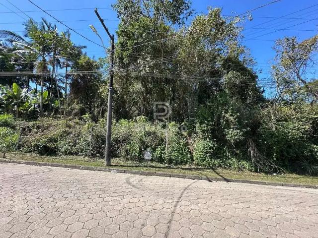 Terreno / Lote para Venda em São Francisco do Sul/SC Rocio Pequeno