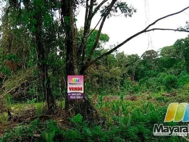 Terreno / Lote para Venda em São Francisco do Sul/SC São José do Acaraí