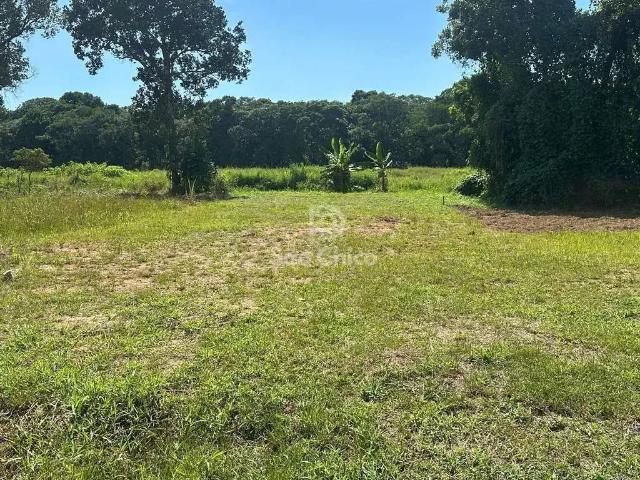 Terreno / Lote para Venda em São Francisco do Sul/SC Sandra Regina