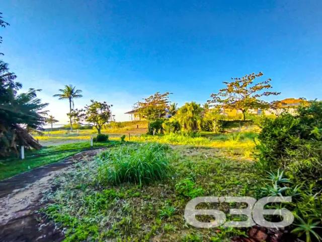 Terreno / Lote para Venda em São Francisco do Sul/SC Ubatuba