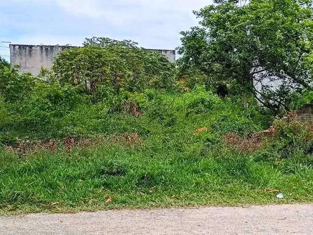 Terreno / Lote para Venda em São Francisco do Sul/SC Ubatuba