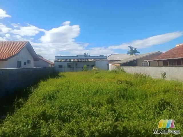 Terreno / Lote para Venda em São Francisco do Sul/SC Ubatuba