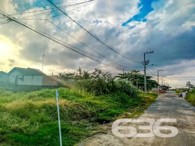 Terreno / Lote para Venda em São Francisco do Sul/SC Ubatuba