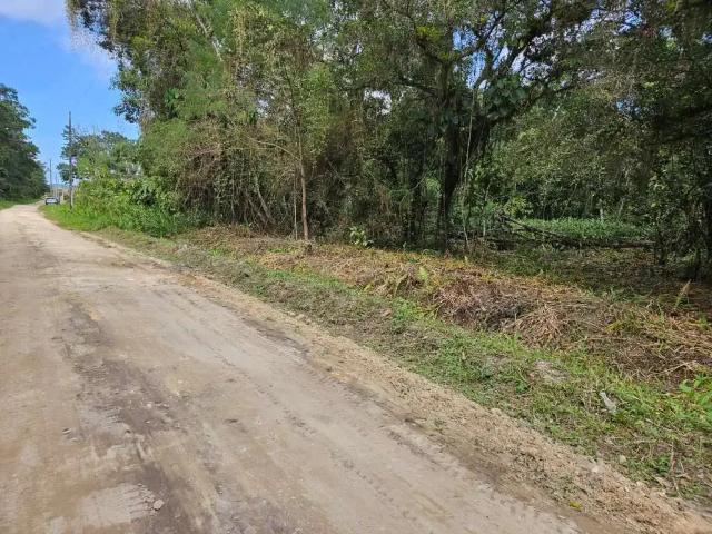 Terreno / Lote para Venda em São Francisco do Sul/SC Vila da Glória