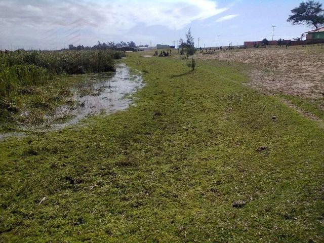 Terreno / Lote para Venda em São João da Barra/RJ Açu